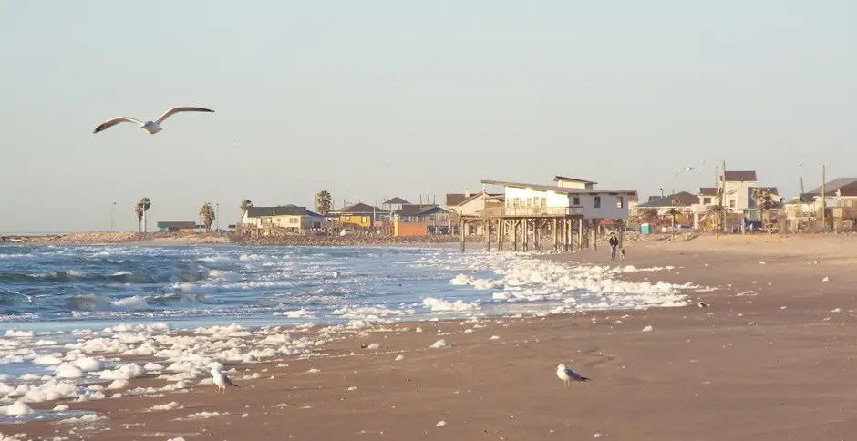 8 Best shelling beaches in Texas (With Precious Souvenirs) 2024 ...