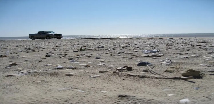8 Best shelling beaches in Texas (With Precious Souvenirs) 2024 ...